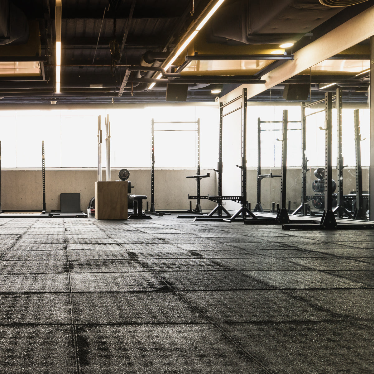 Racks and Cages | GiveMeFit